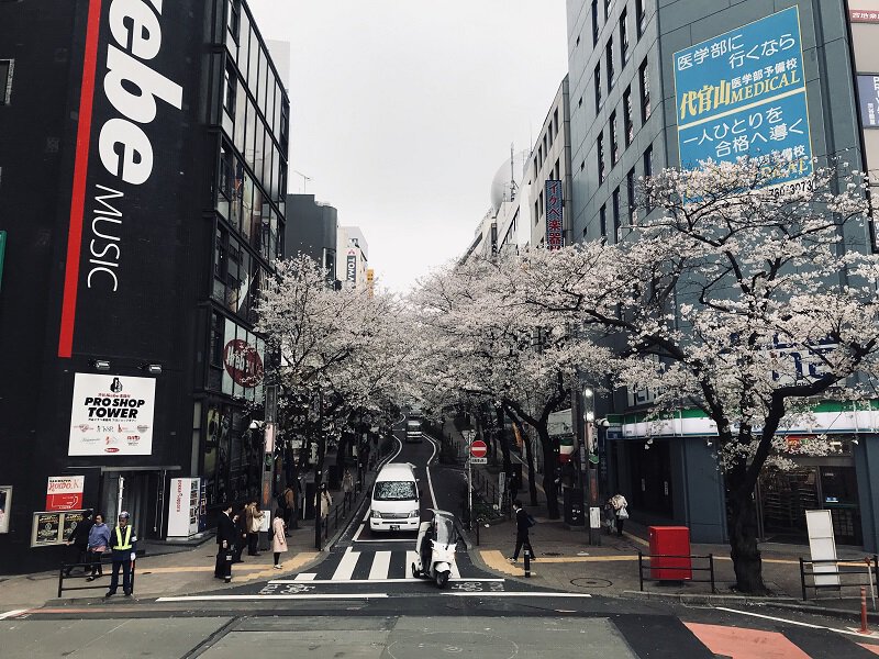 渋谷桜丘 さくら坂の桜(渋谷区) - お花見2025 - ウォーカープラス 渋谷桜丘 さくら坂の桜(渋谷区) - お花見2025 - ウォーカープラス